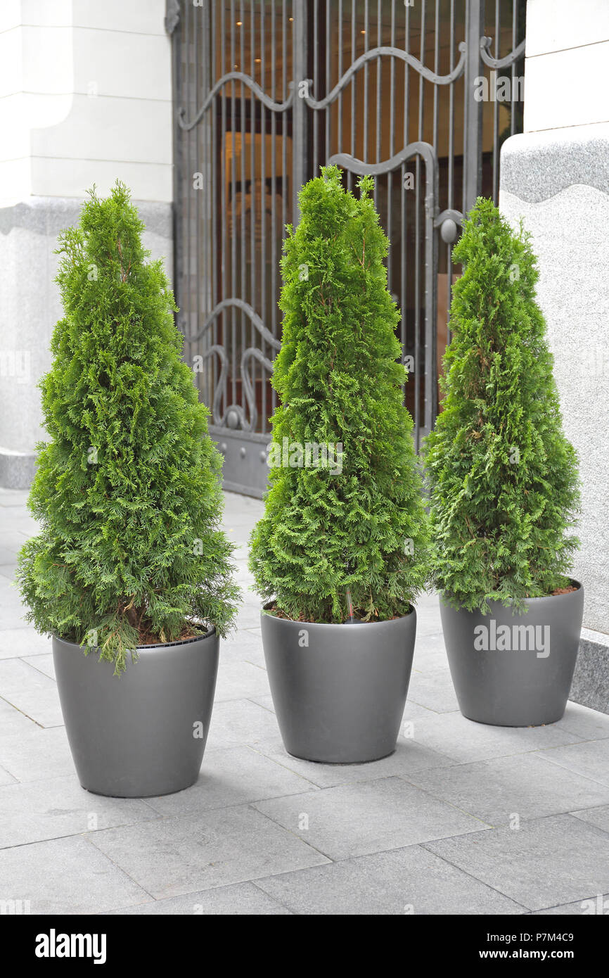 Big pots hi-res stock photography and images - Alamy