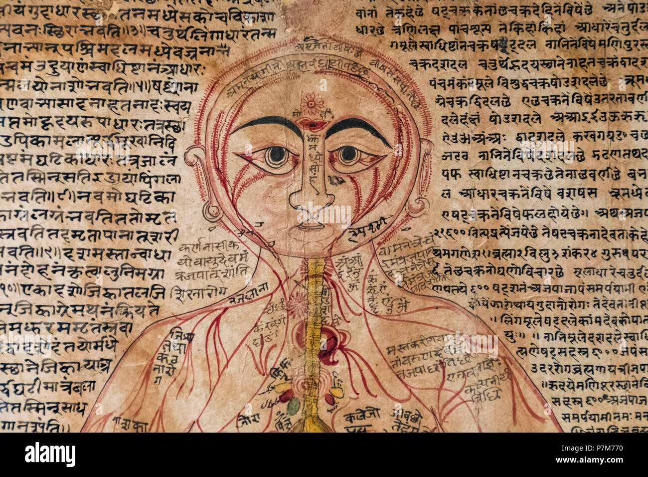 England, London, The Wellcome Collection, 18th century Indian ...