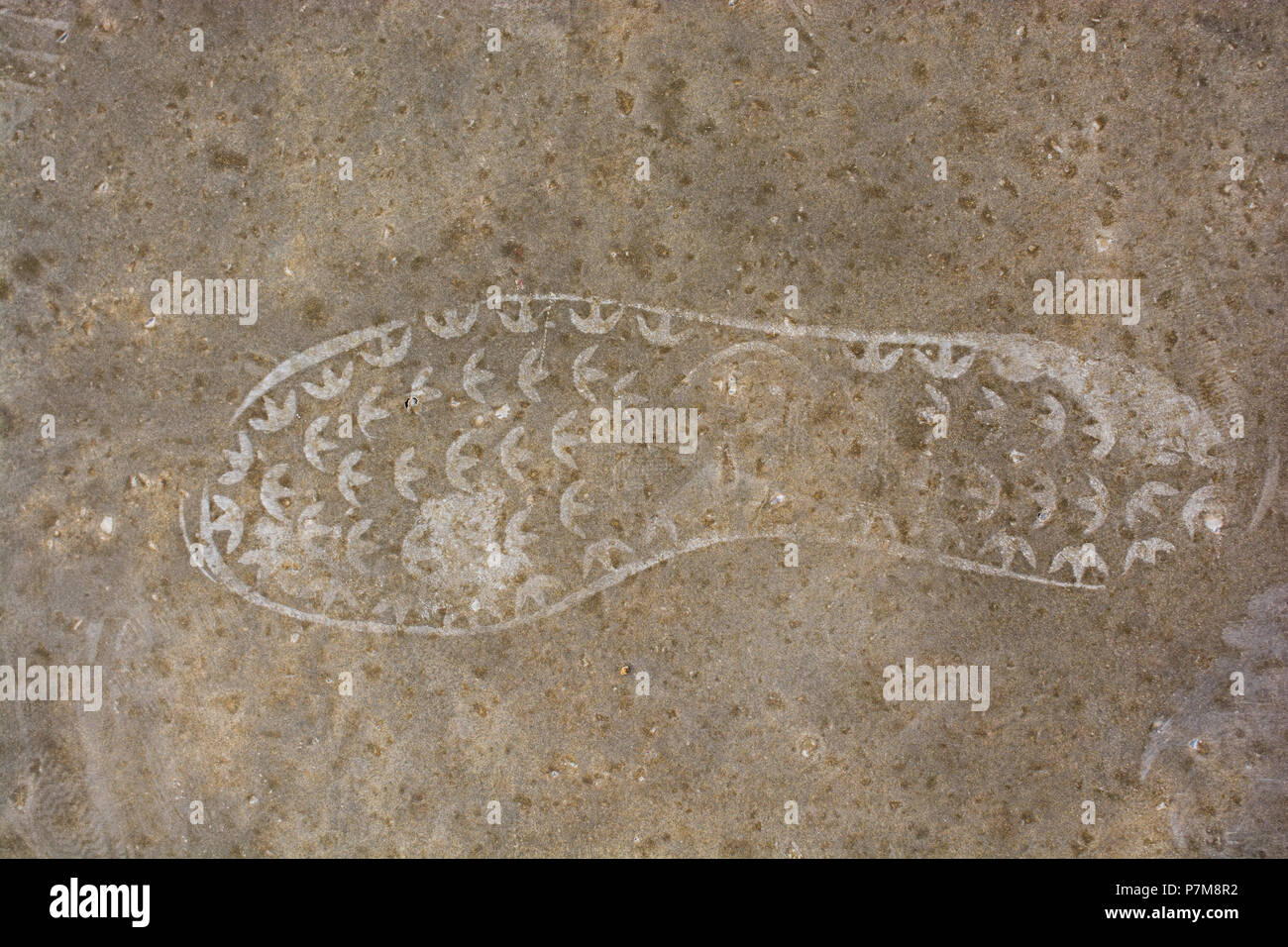 Footstep pattern seen on a concrete background Stock Photo - Alamy