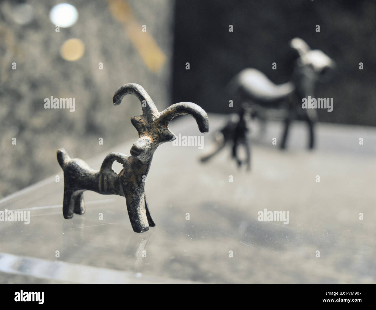 Goat iran middle east hi-res stock photography and images - Alamy