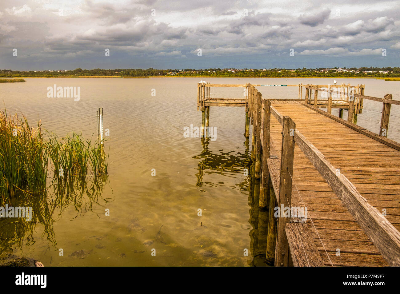 Yellagonga park by lake joondalup hi-res stock photography and images ...