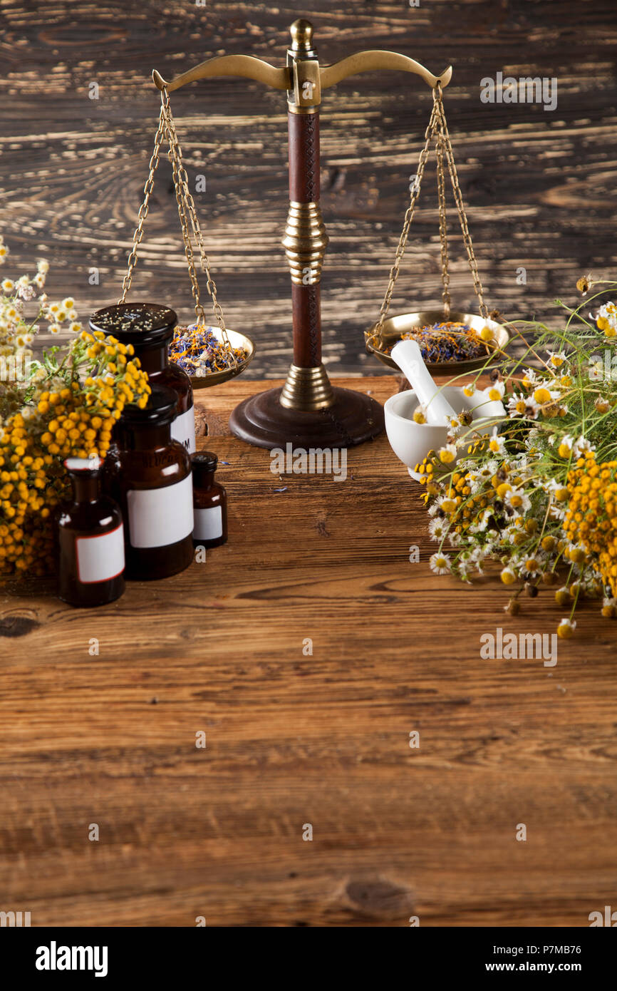 Fresh medicinal, healing herbs on wooden Stock Photo - Alamy