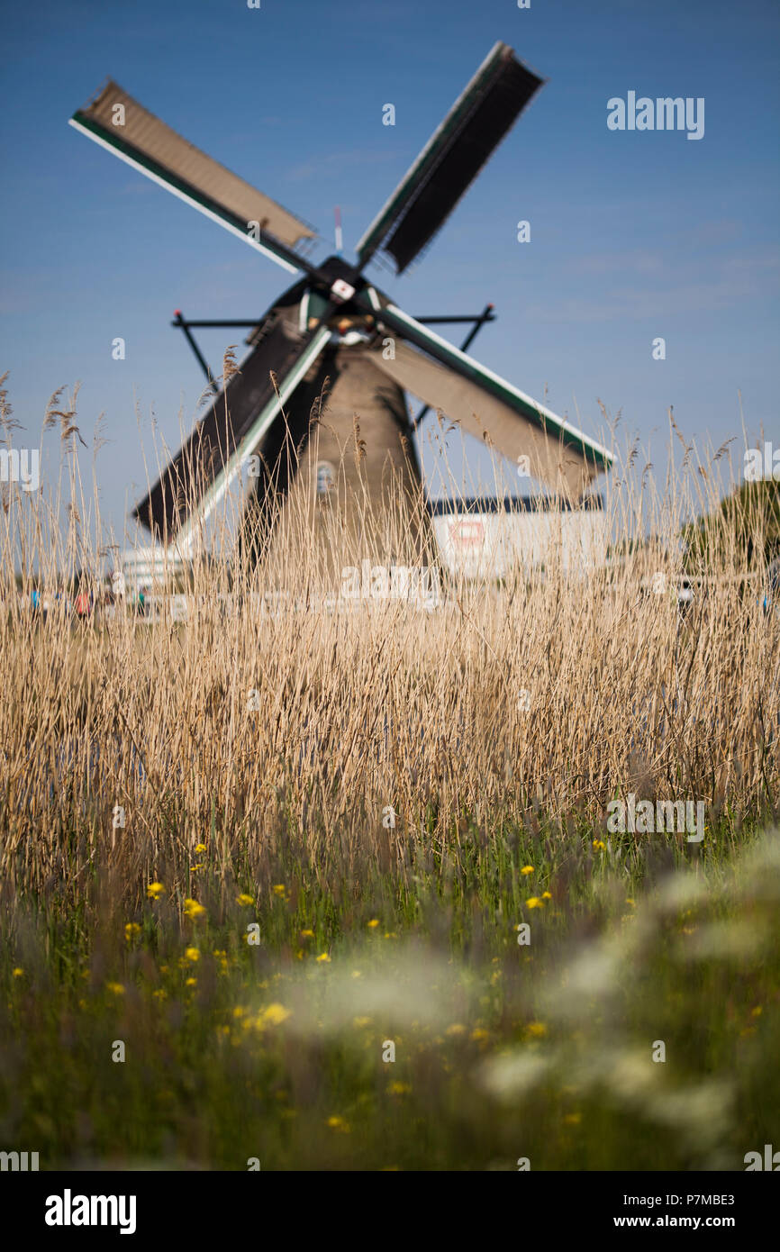 Traditional old windmills in Netherlands Stock Photo - Alamy