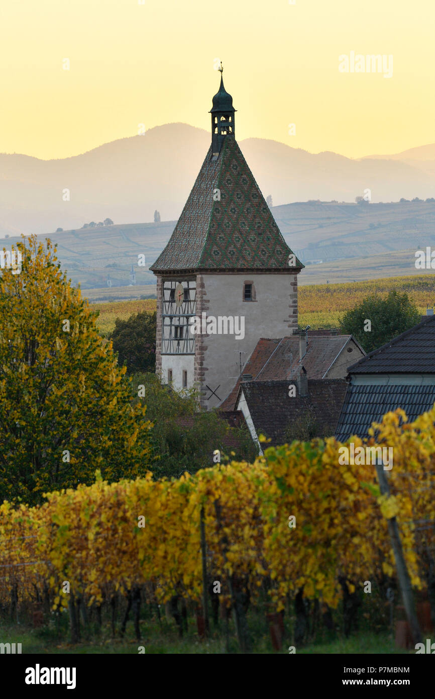 Bergheim hi-res stock photography and images - Alamy