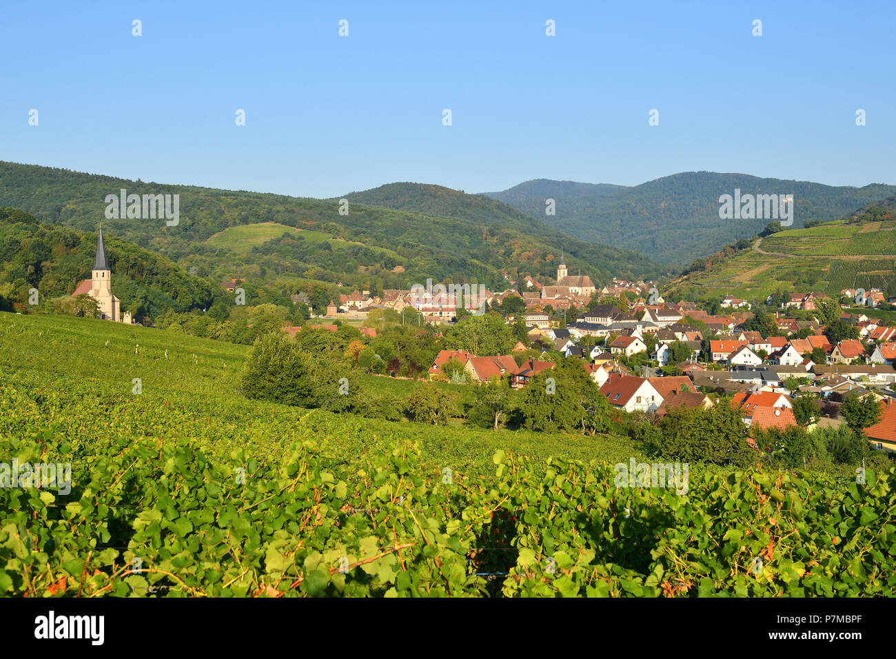 France, Bas Rhin, Alsace Wine Route, Andlau Stock Photo - Alamy