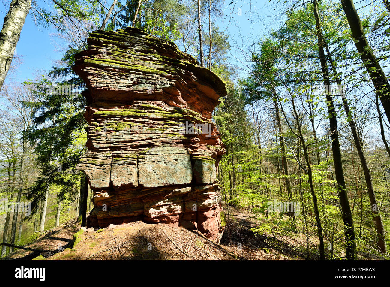Pink Vosges Sandstone High Resolution Stock Photography and Images - Alamy
