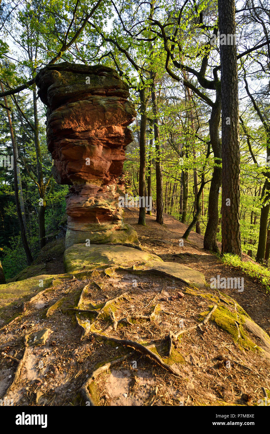 Lembach hi-res stock photography and images - Alamy