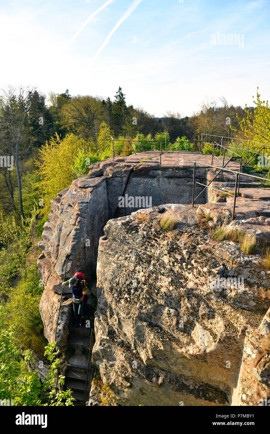 France, Bas Rhin, Lembach, hiking path near Fleckenstein castle ruins ...