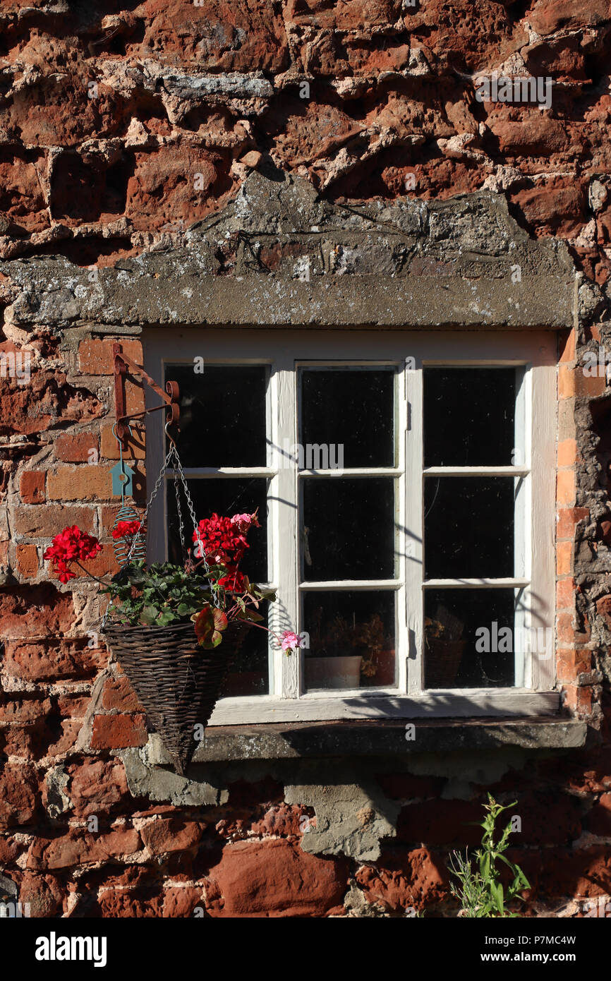 Mortar bee hi-res stock photography and images - Alamy