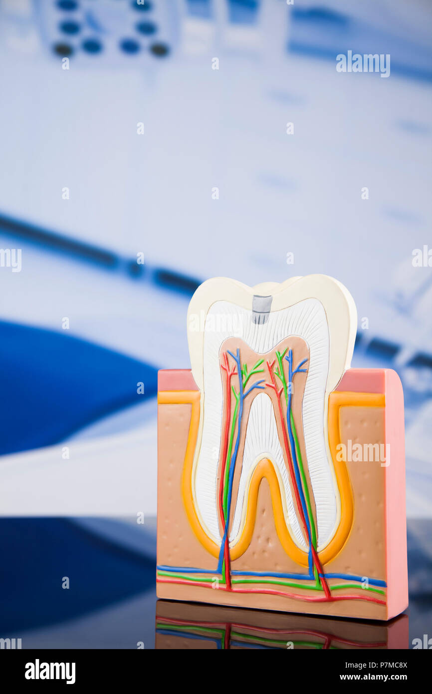 Dental instruments and tools in a dentists office Stock Photo - Alamy