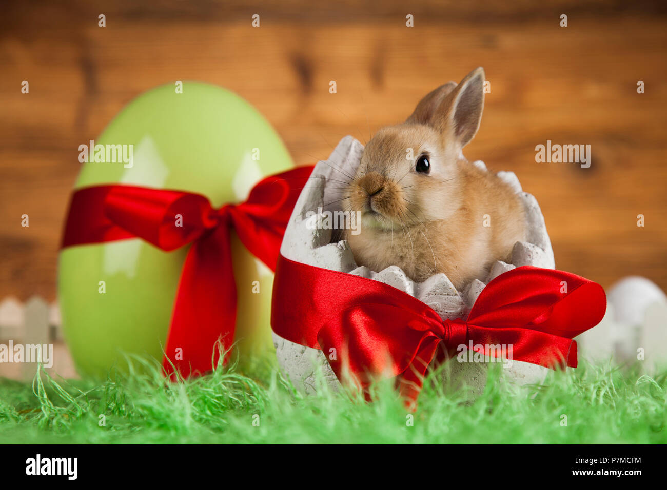 Little Easter bunny Stock Photo - Alamy