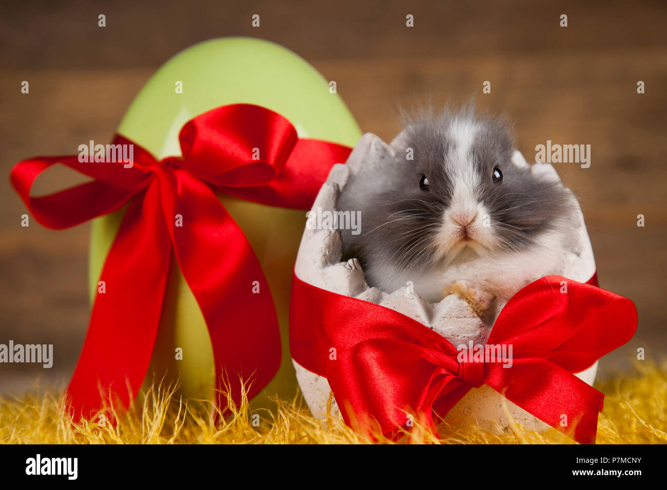 Rabbit and easter eggs Stock Photo - Alamy