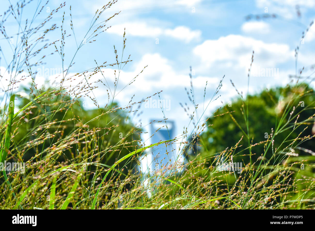 Duke energy center building hi-res stock photography and images - Alamy