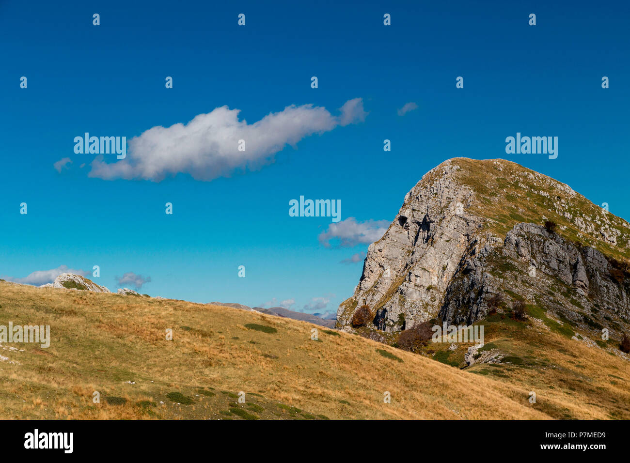 Capraro hi-res stock photography and images - Alamy
