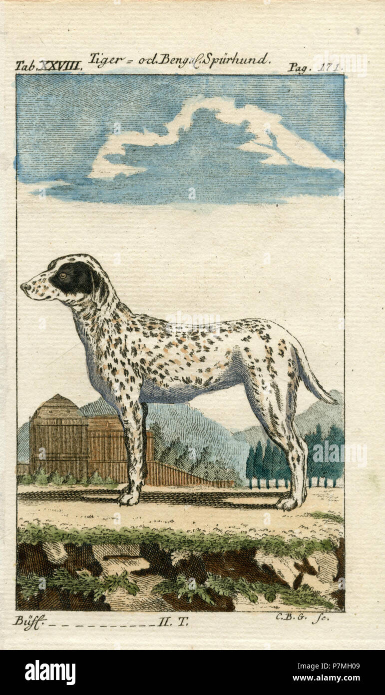 Je repère hi-res stock photography and images - Alamy