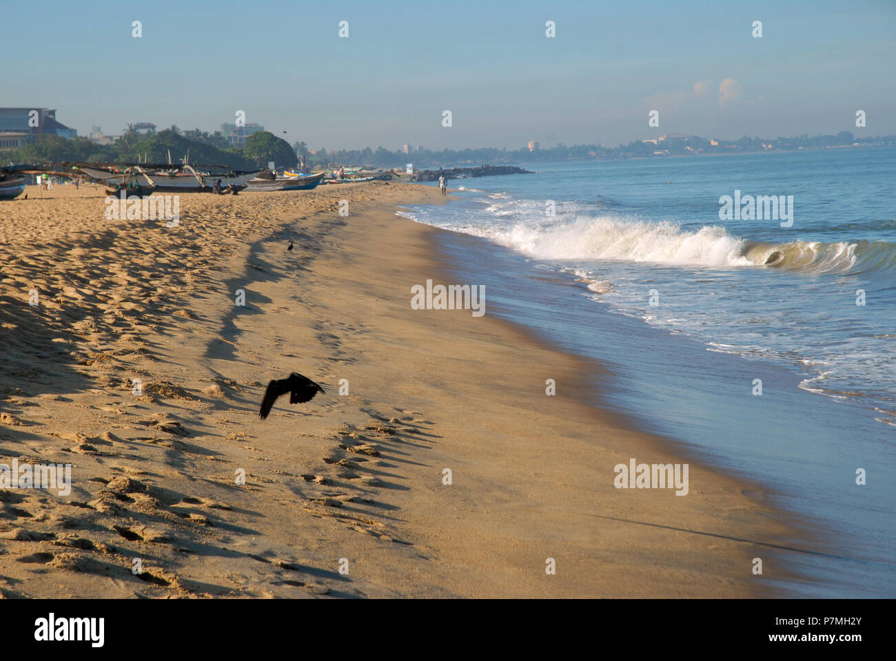 Negombo beach, Western Province, Sri Lanka, Asia Stock Photo - Alamy