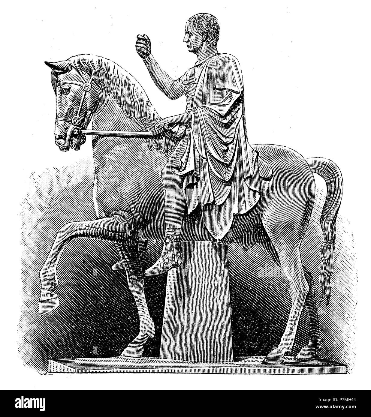 M nonius hi-res stock photography and images - Alamy