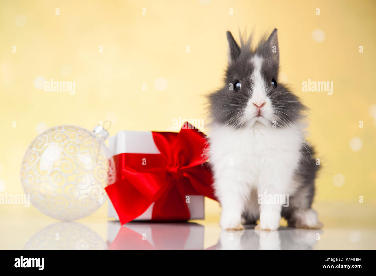 Rabbit, bunny, Gift boxes with red ribbon on Christmas background Stock ...