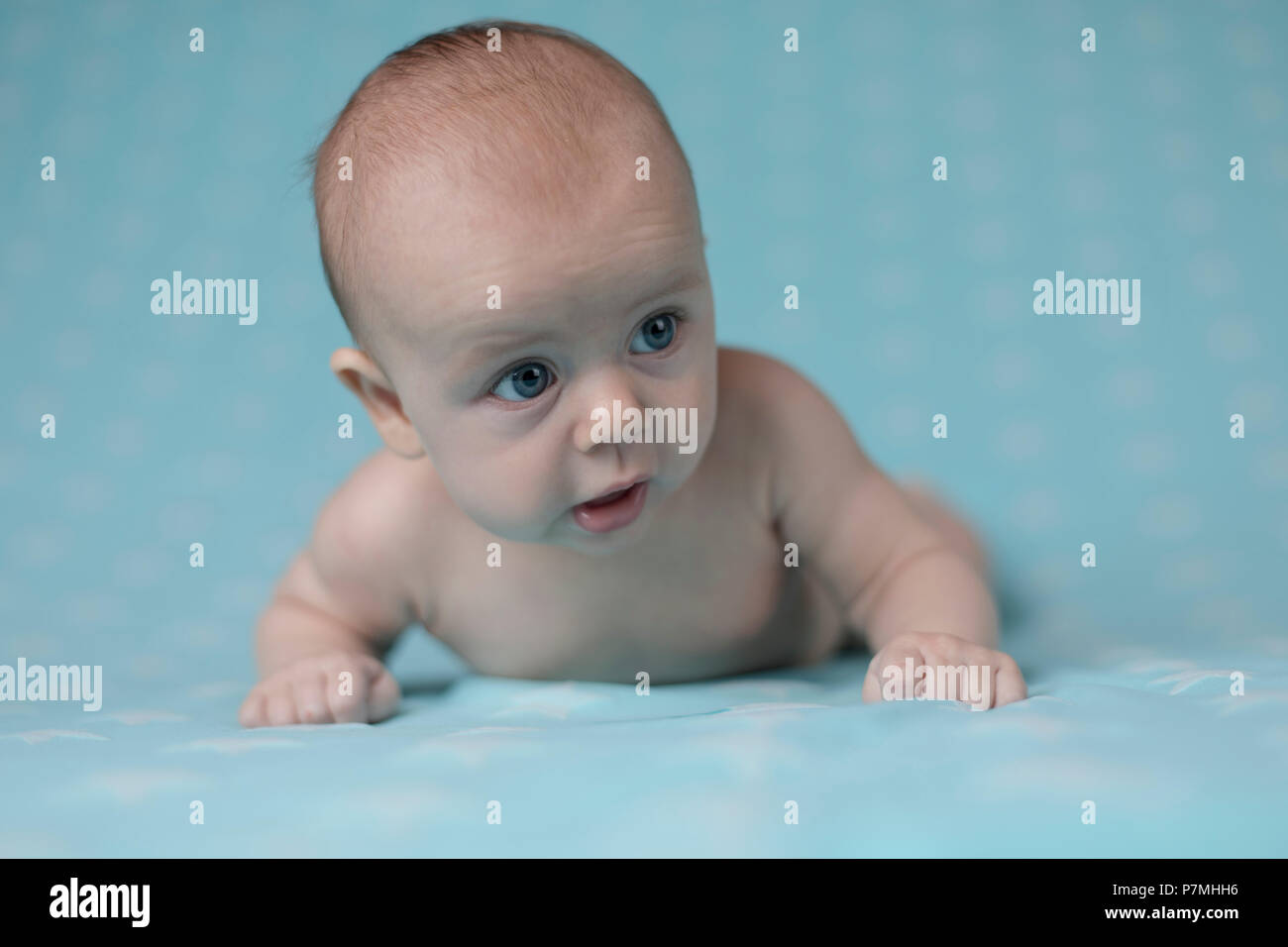 Crawling baby boy Stock Photo - Alamy
