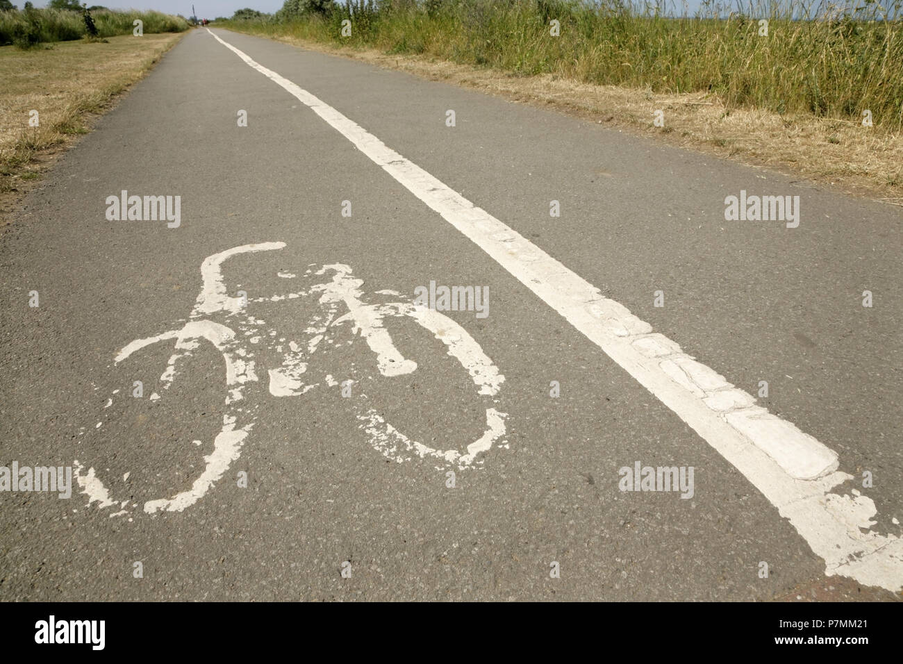 Empty shared cycle route and footpath Stock Photo - Alamy