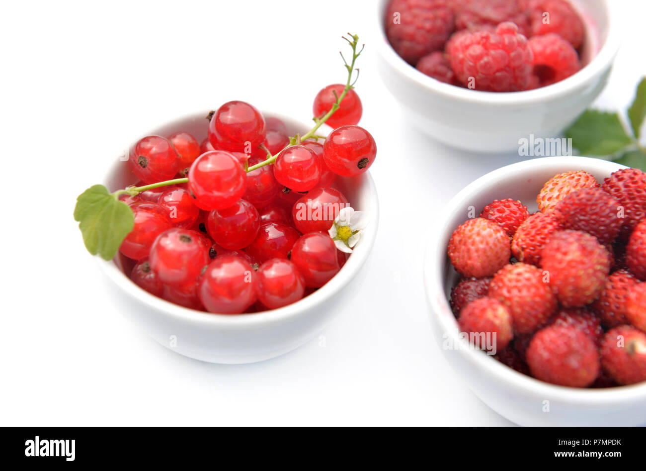 Little red berries hi-res stock photography and images - Alamy