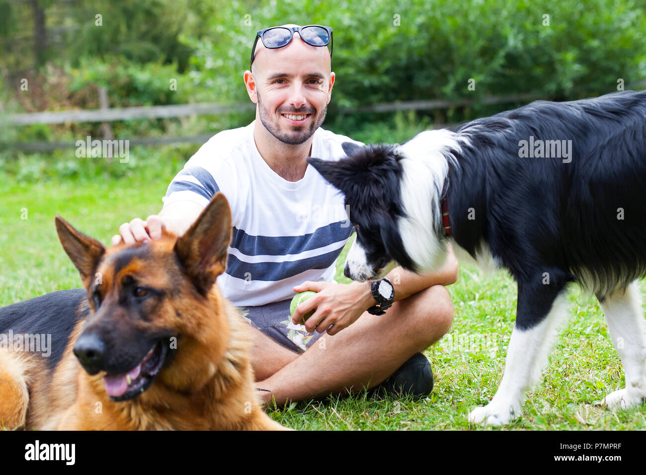 Photo of a happy man playing with his two dogs Stock Photo - Alamy