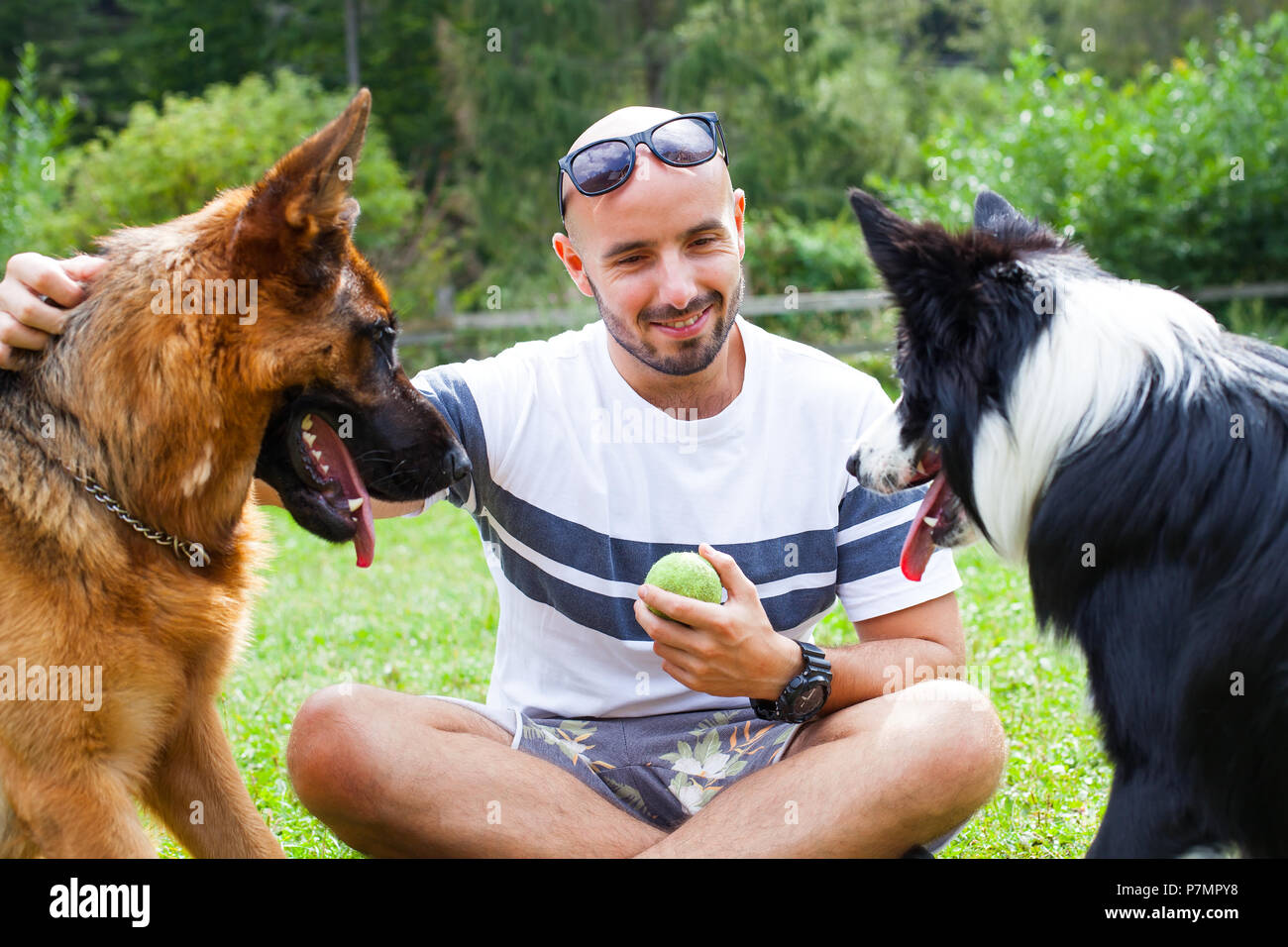 Photo of a happy man playing with his two dogs Stock Photo - Alamy