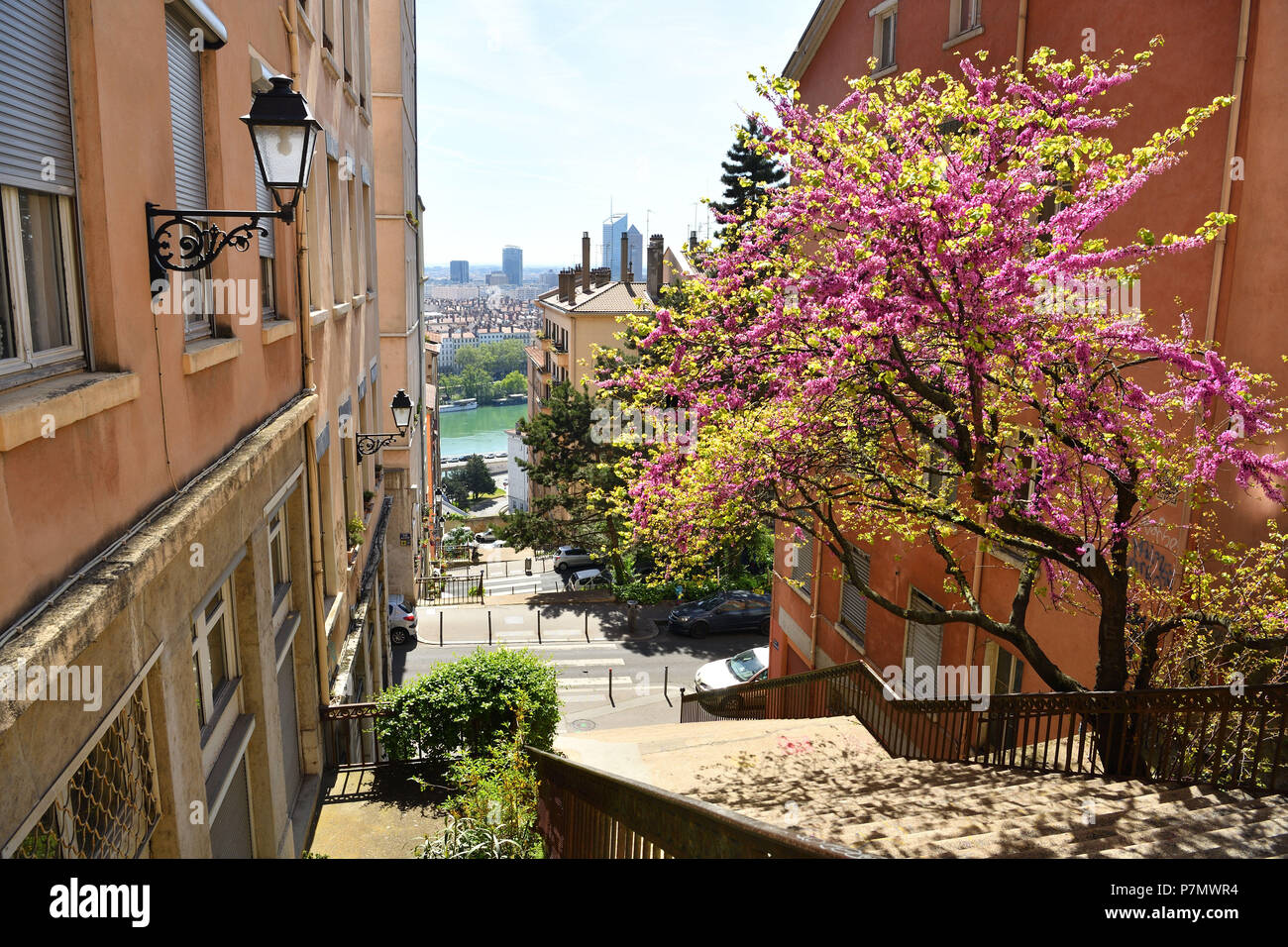 Rue grognard lyon hi-res stock photography and images - Alamy