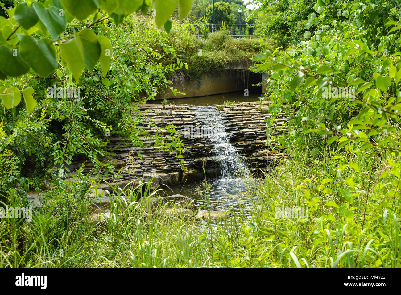 Rocky waterfall inside of greenery and tunnel drop-off; Midtown ...