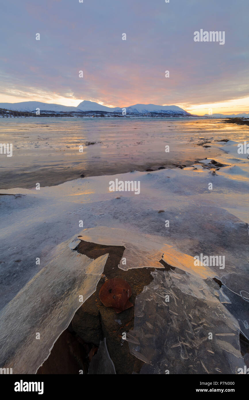 Sunset on frozen sea, Troms, Norway Stock Photo - Alamy