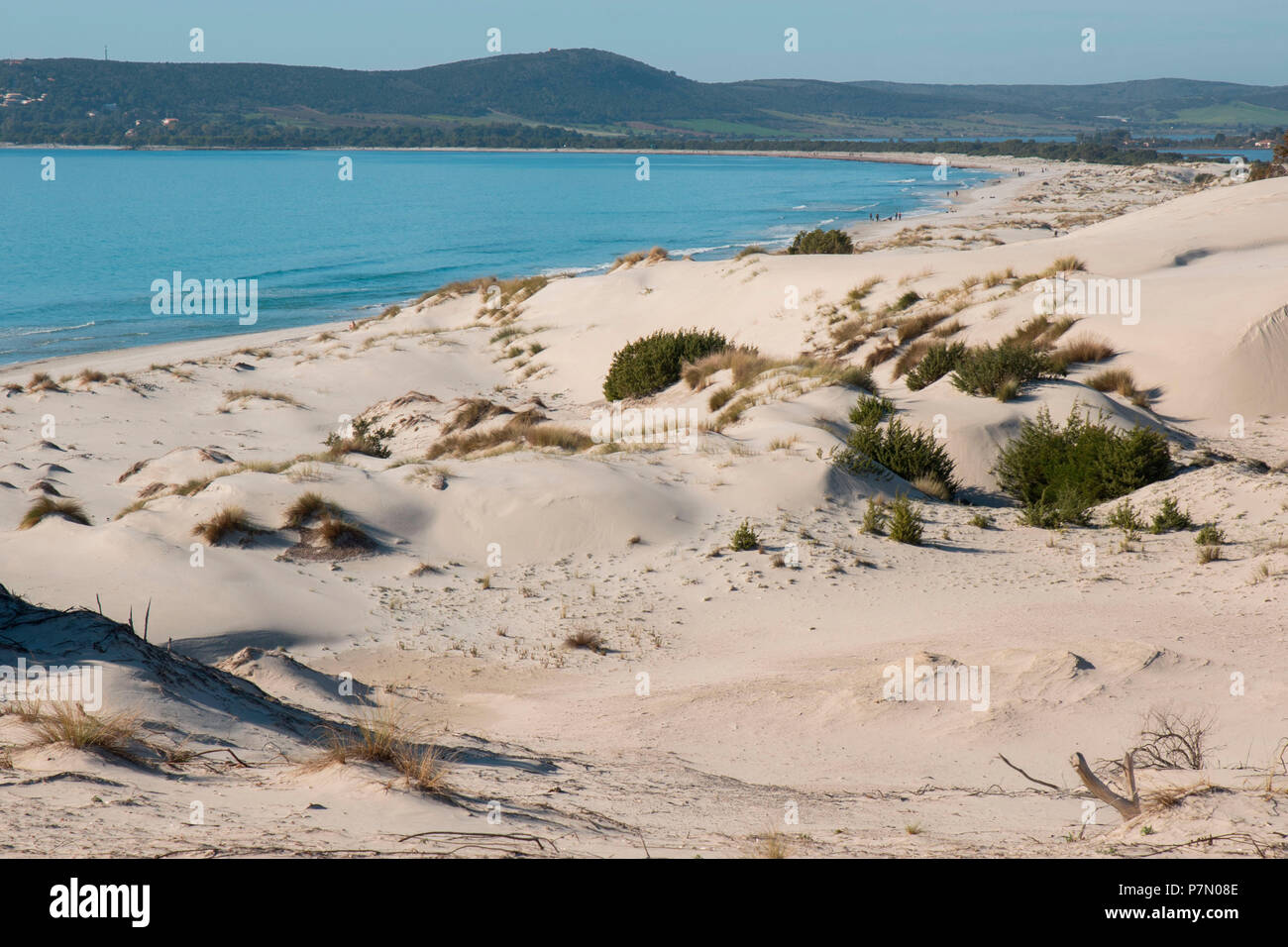 Sand dunes of Is Arenas Biancas, Teulada, Cagliari Province, Sardinia ...