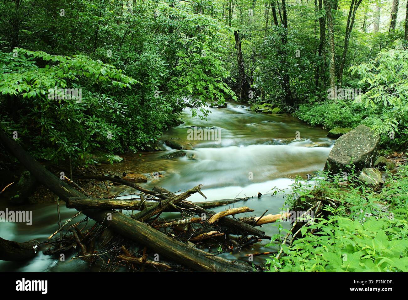 Pisgah Stream, Blue Ridge Parkway, NC, USA Stock Photo - Alamy