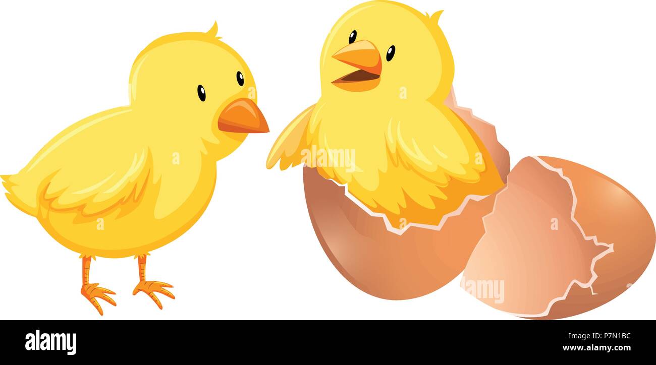 Two baby chickens Stock Vector Images - Alamy