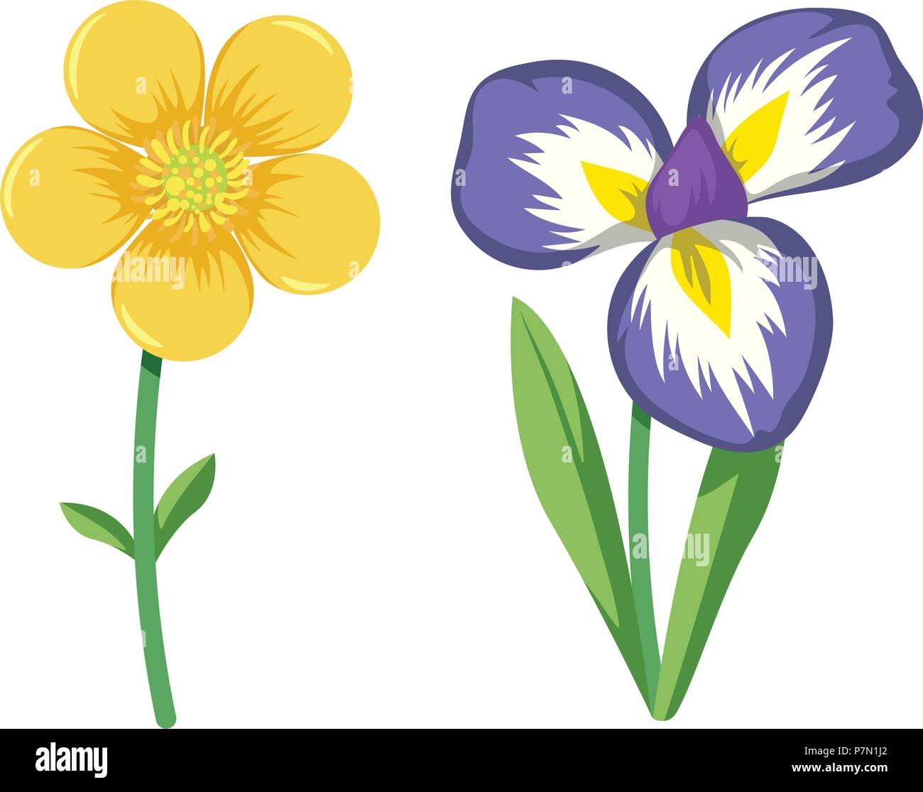 Set of colorful flowers illustration Stock Vector Image & Art - Alamy