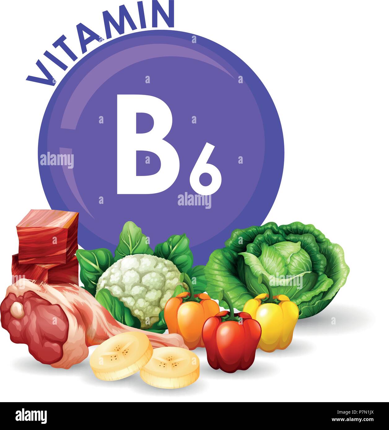 Variety of different foods with Vitamin B6 illustration Stock Vector ...