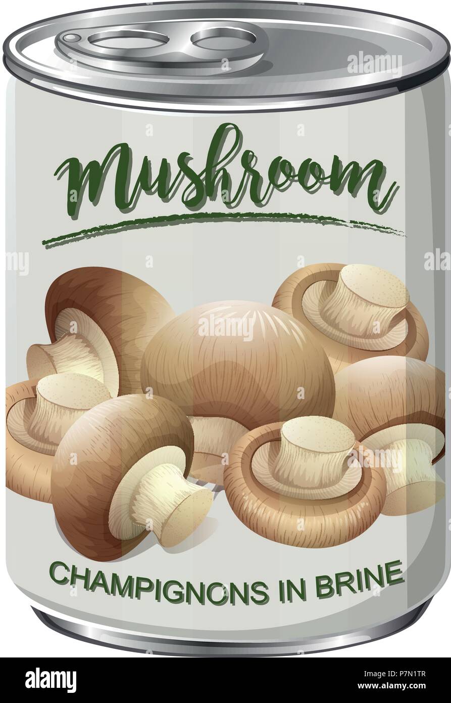 A Can of Mushroom illustration Stock Vector Image & Art - Alamy