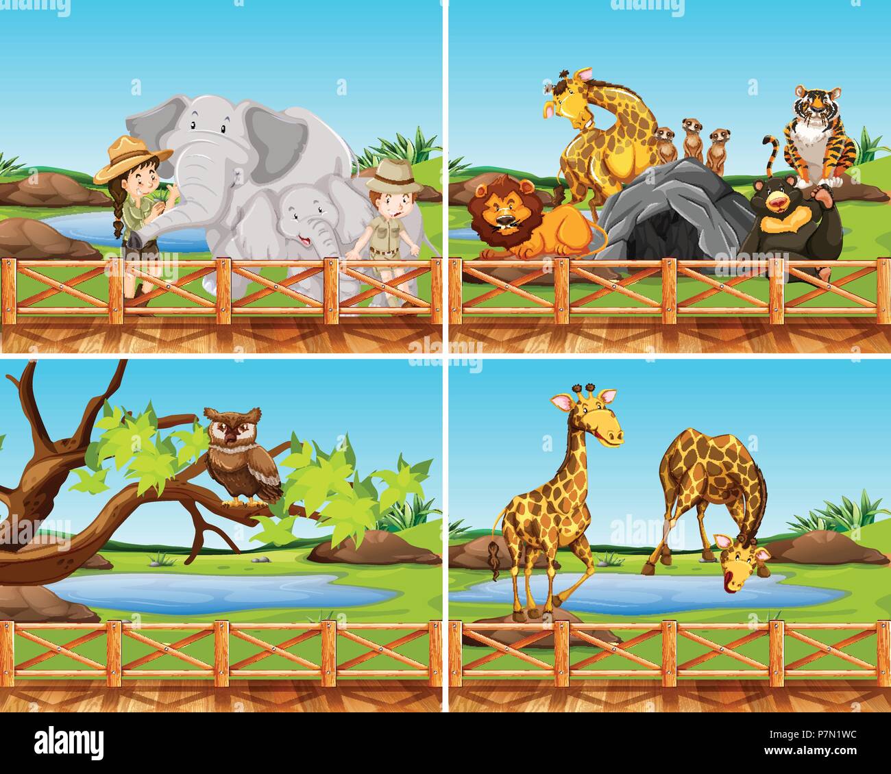 Set of scenes of animals illustration Stock Vector Image & Art - Alamy