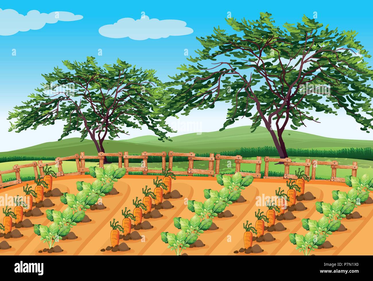 Vegetable Farming in the Rural Area illustration Stock Vector Image ...