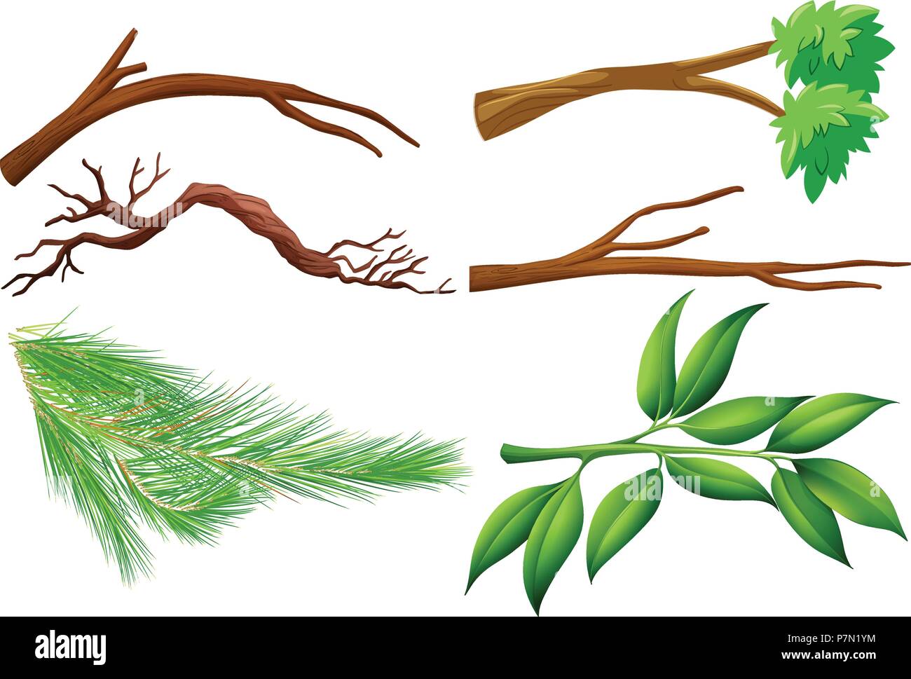 A Set of Tree Branch illustration Stock Vector Image & Art - Alamy