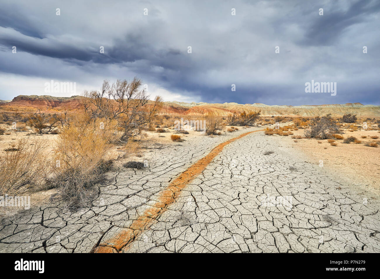 Red stripe from clay on cracked ground in national desert park Altyn ...