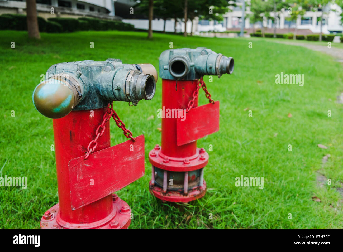 Two red fire hydrants in the lawn Stock Photo - Alamy