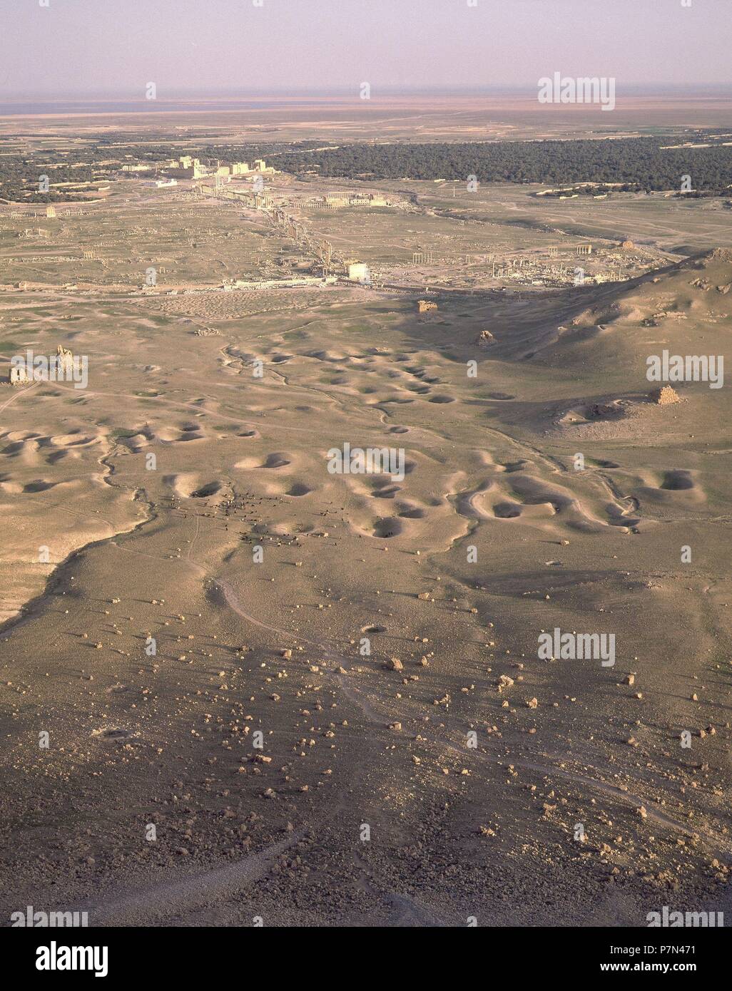 PANORAMICA DE LA CIUDAD DE PALMIRA, CON OASIS Y DESIERTO. Location ...