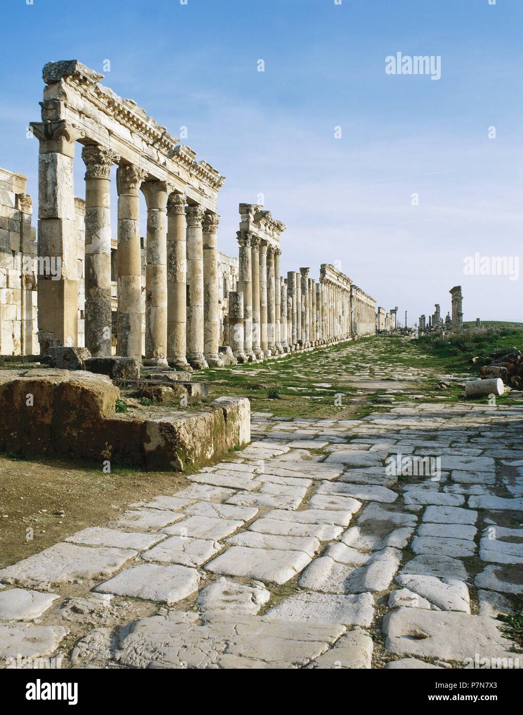 Syria. Apamea city. The Cardo Maximus. 2nd century. Roman period. Photo ...