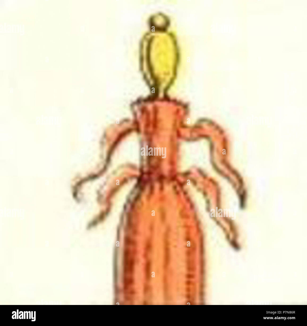 30 cemaat orta emblem (tattoo Stock Photo - Alamy
