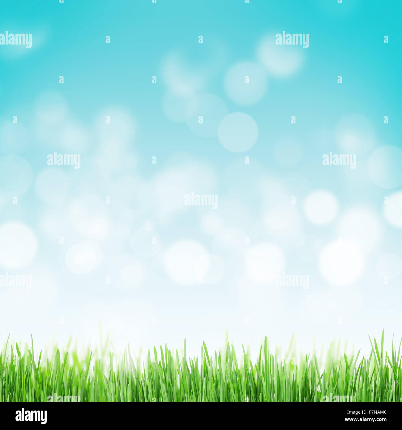 Abstract sunny spring background with grass and chamomile flowers Stock ...