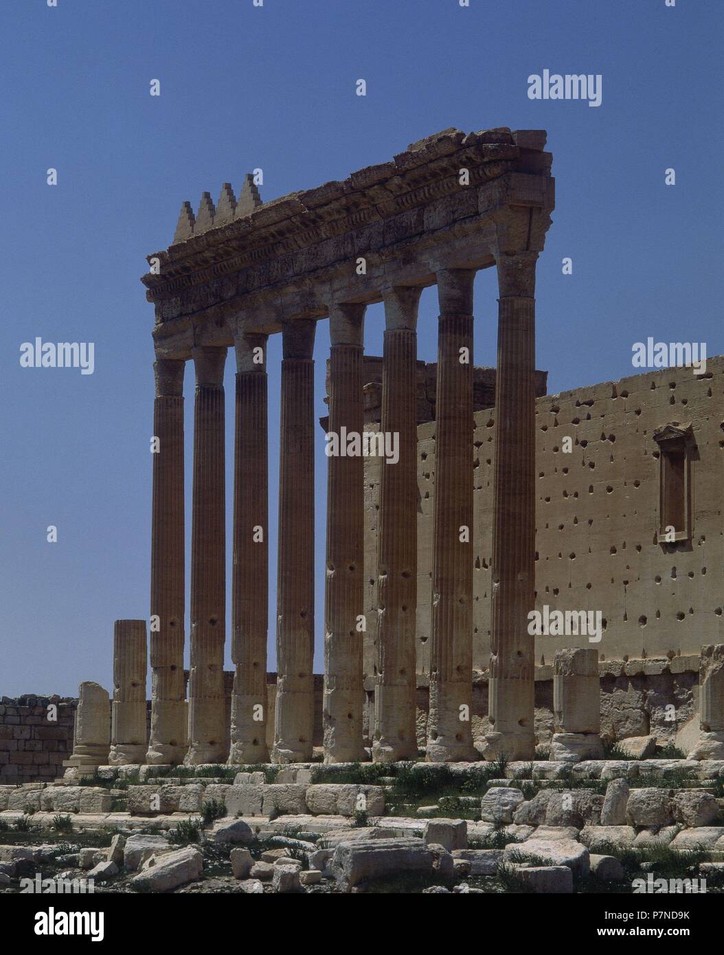 Columns corintio column hi-res stock photography and images - Alamy