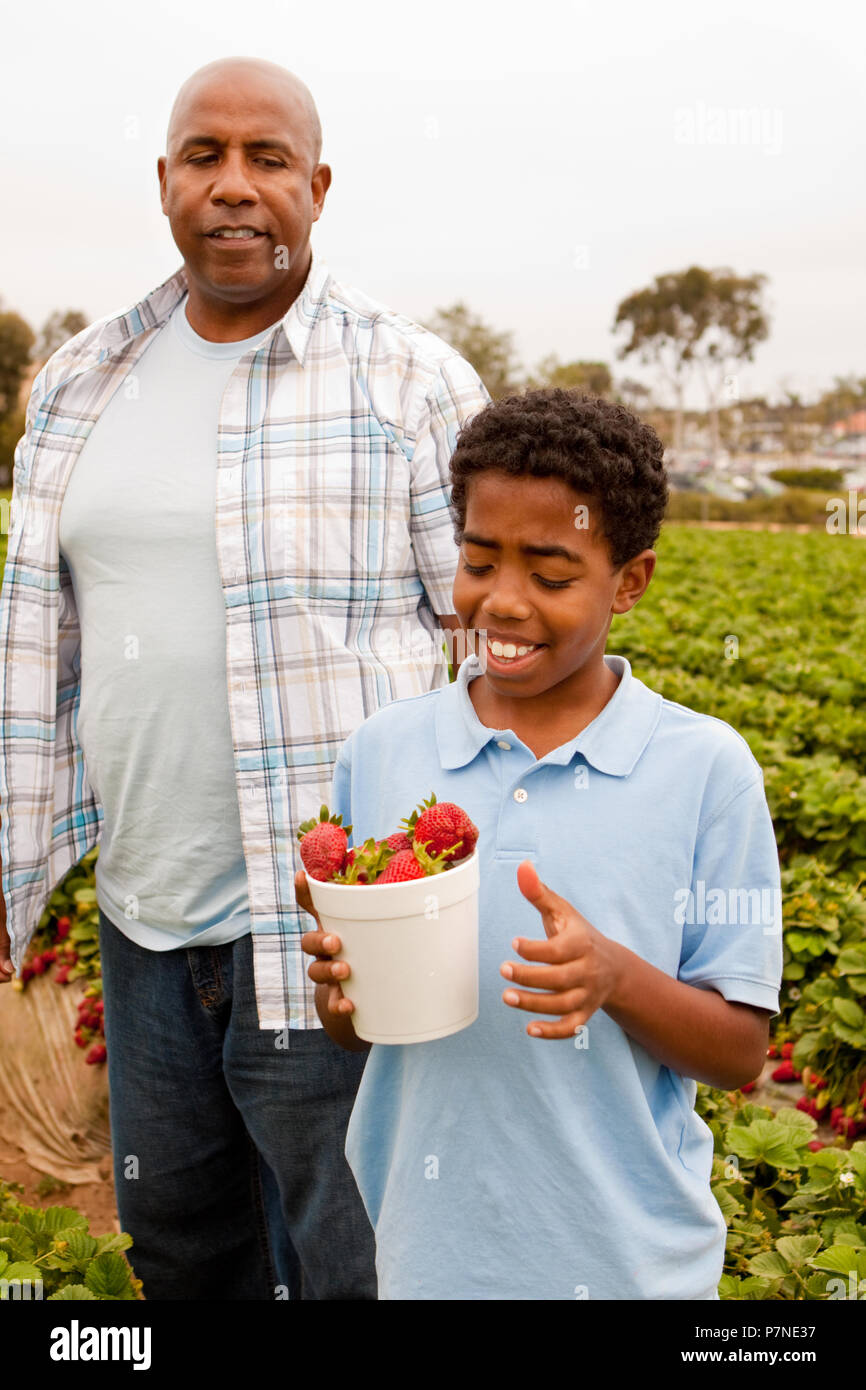 African child eating strawberries hi-res stock photography and images ...