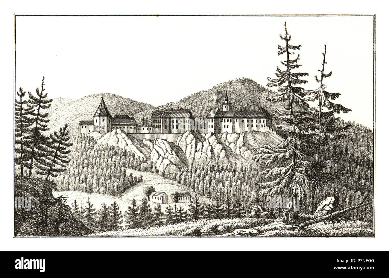 293 Burg Strechau, Lassing, gez. Hofrichter - J.F.Kaiser Lithografirte ...