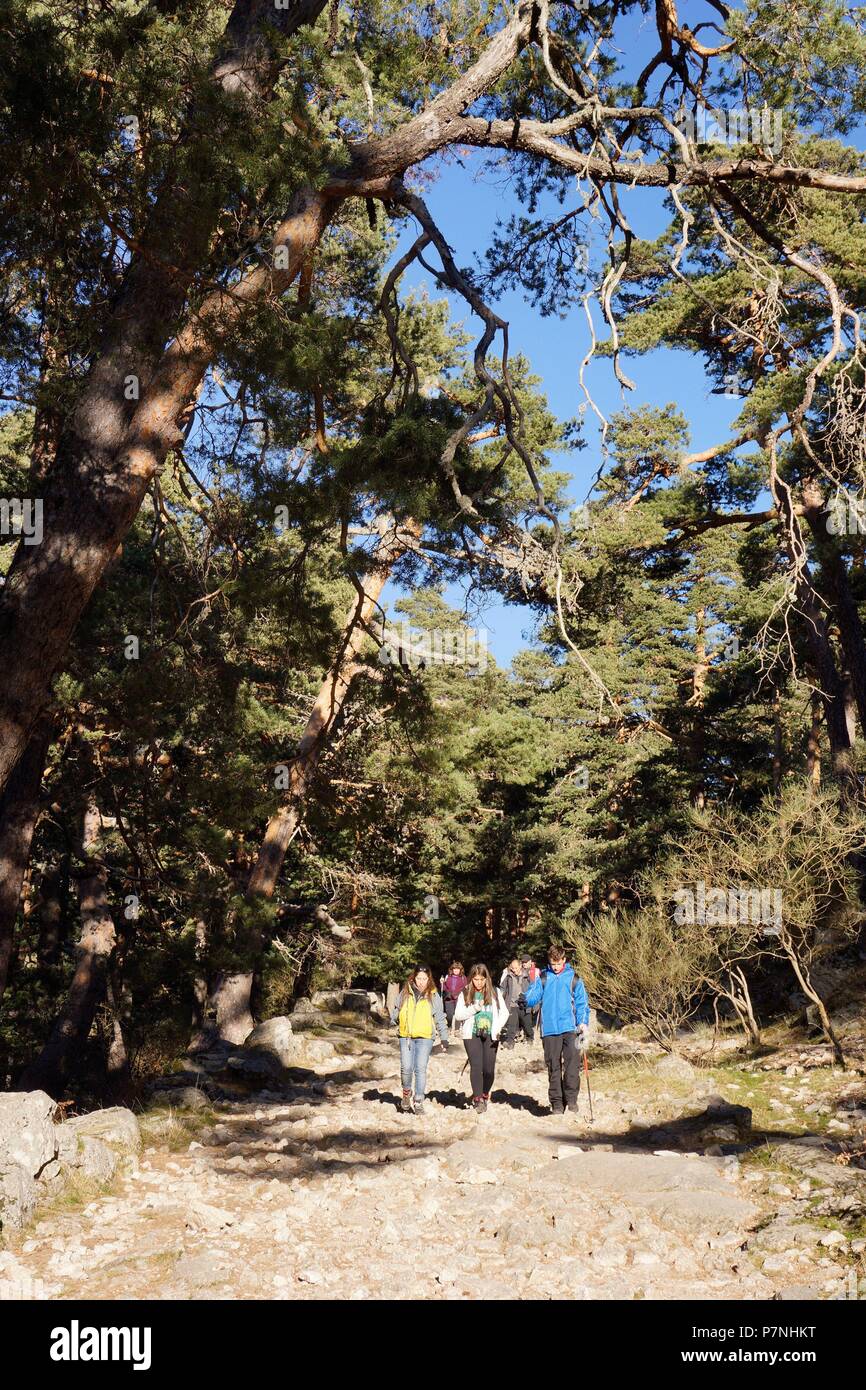 VALLE DE LA FUENFRIA. CALZADA ROMANA Stock Photo - Alamy