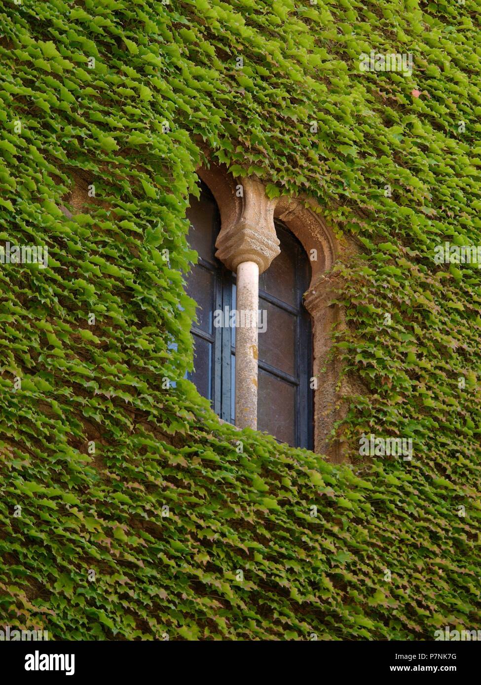 TORRE DE LOS SANDE (S. XIV Stock Photo - Alamy